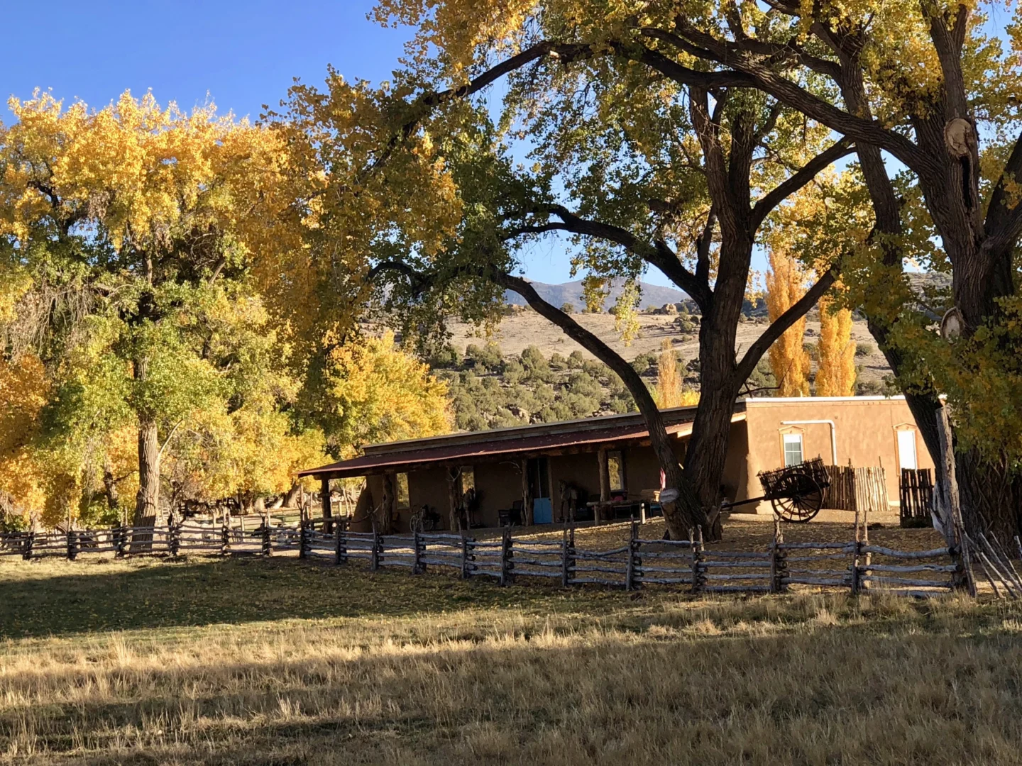 Fall Colors & Cozy Nights: The Allure of Log Cabins in Colorado ...