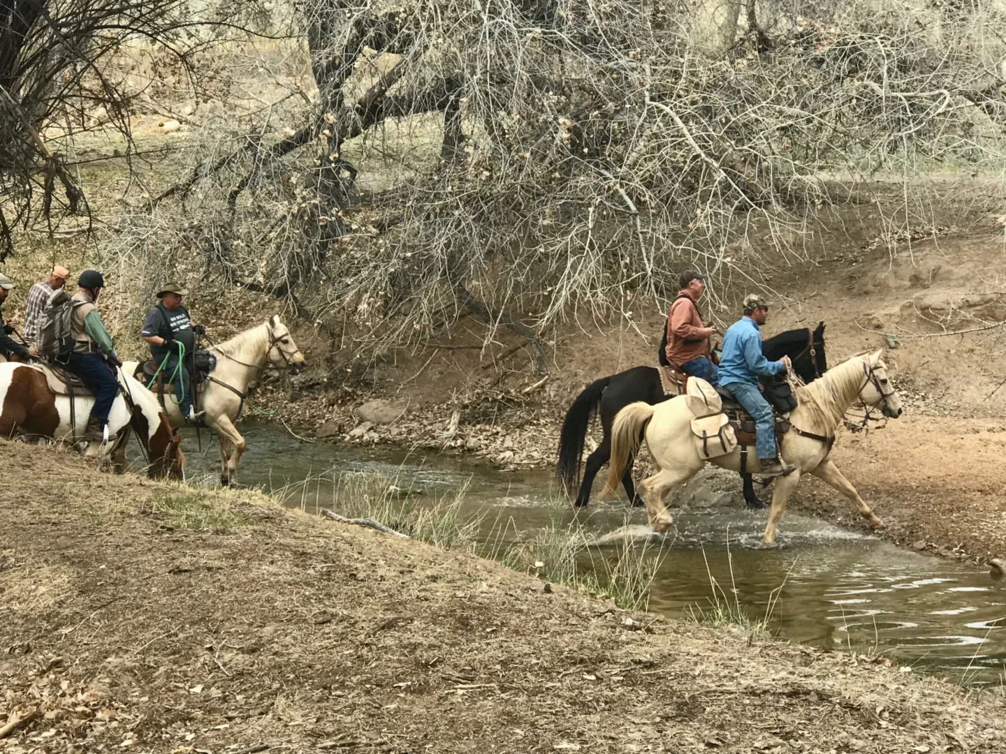The Ultimate Horseback Riding Vacations in Colorado: Where to Go and ...
