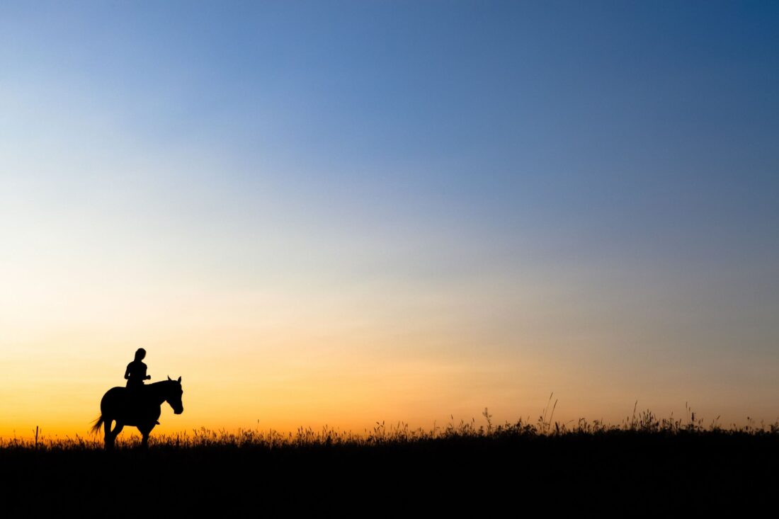 Ride Through History: Horseback Adventures Near Mesa Verde at a ...